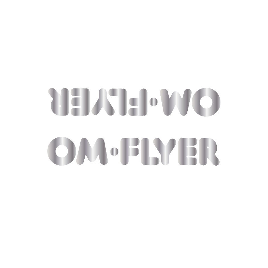 SE Racing - OM Flyer down tube decal - chrome die cut | BMX Products USA