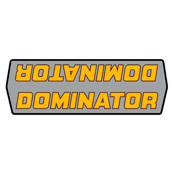 Raleigh - DOMINATOR dragster down tube decal | BMX Products USA